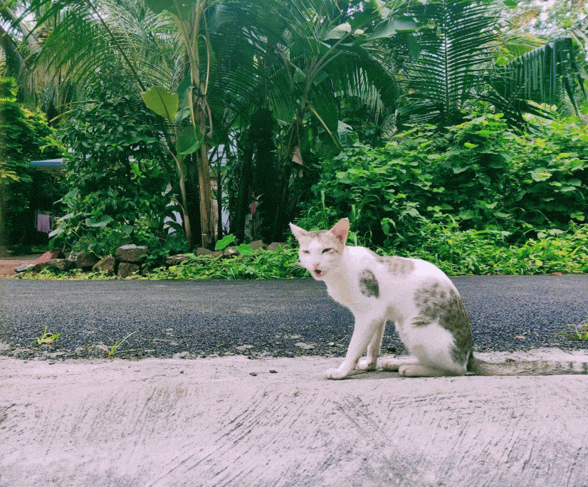 AI GIF Generators: 10 Tools for Weird & Wonderful GIFs