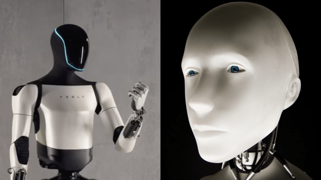 Tesla Bot: The Future of Robotics and AI