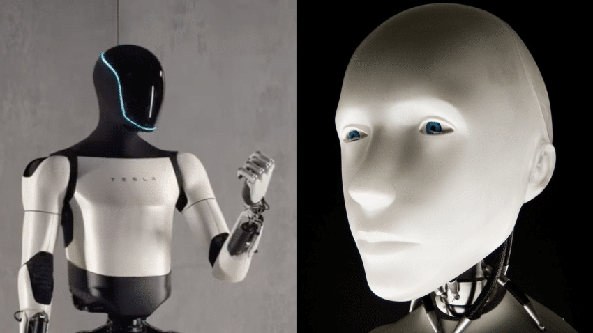 Tesla Bot: The Future of Robotics and AI